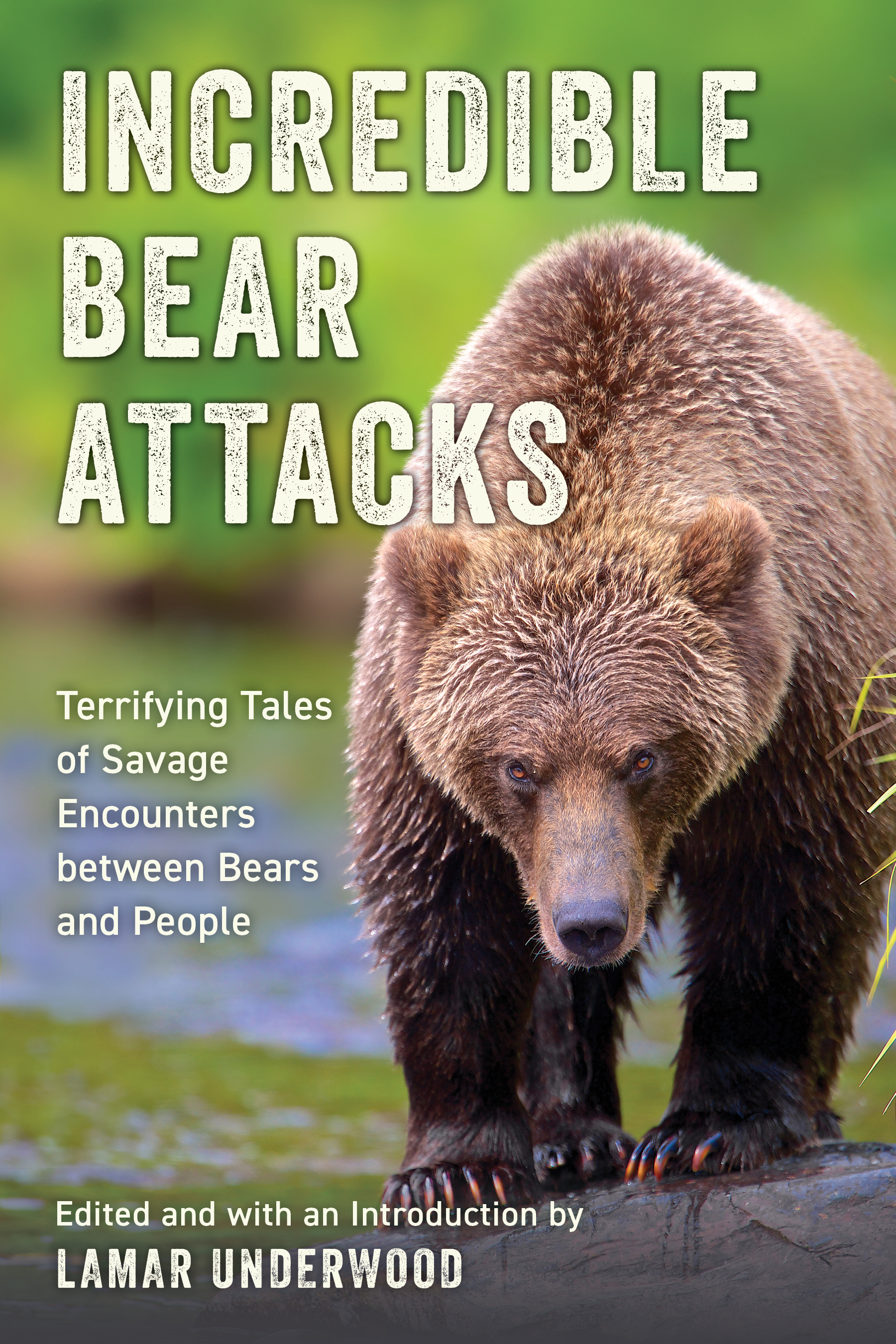 Incredible bear attacks: terrifying tales of savage encounters between ...