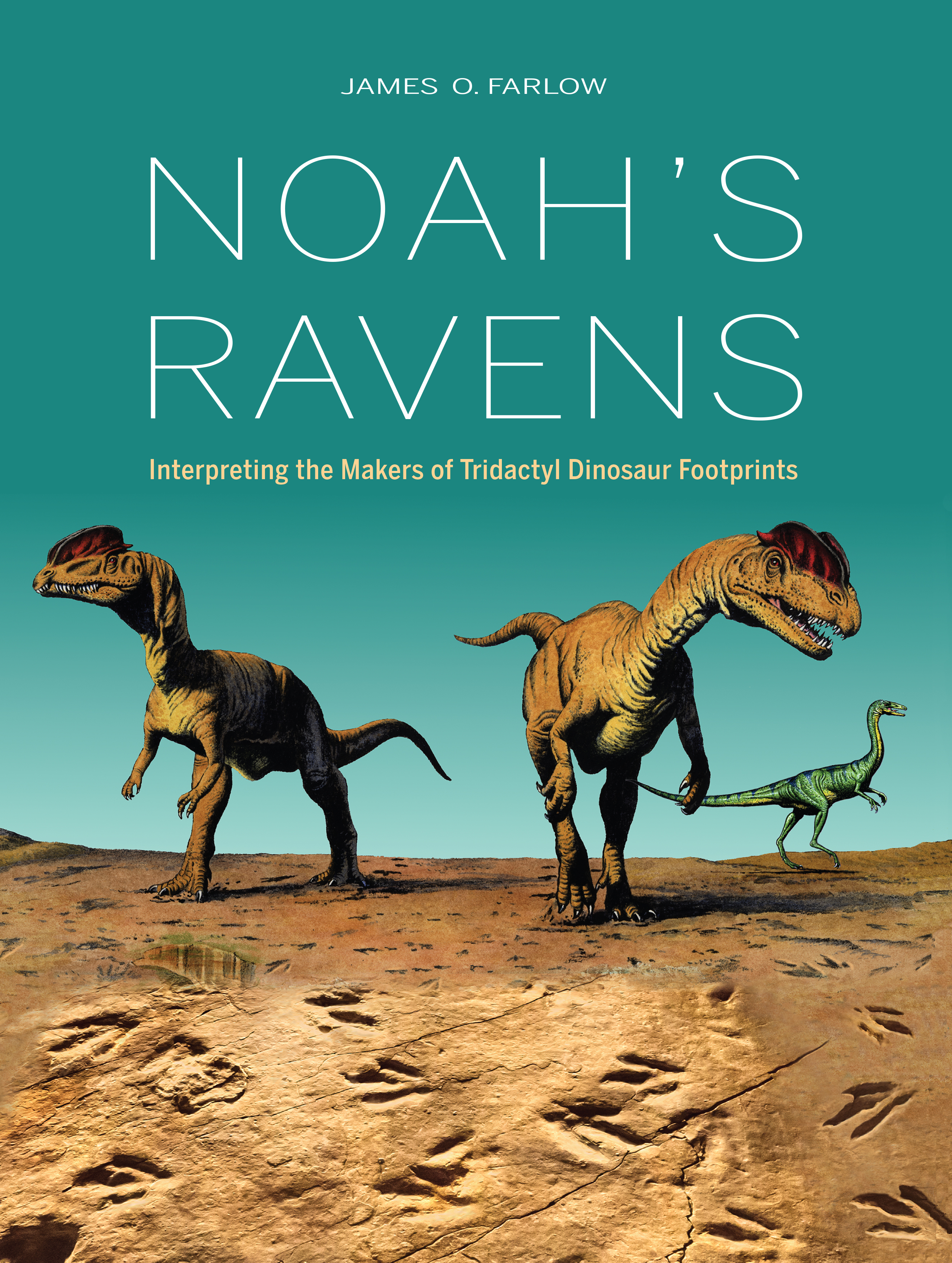 Noah's Ravens: Interpreting the Makers of Tridactyl Dinosaur Footprints ...