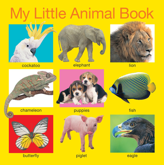 My Little Animal Book by Priddy, Roger (9781849157292) | Browns Books